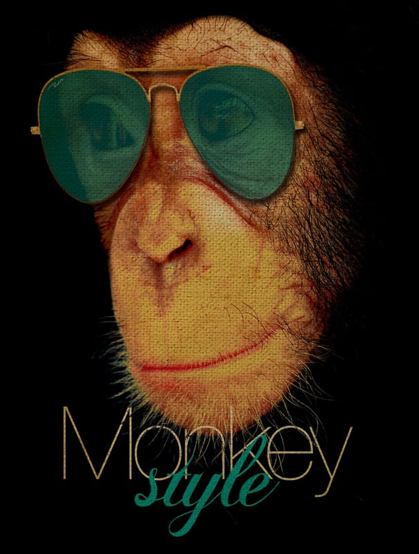MONKEY STYLE